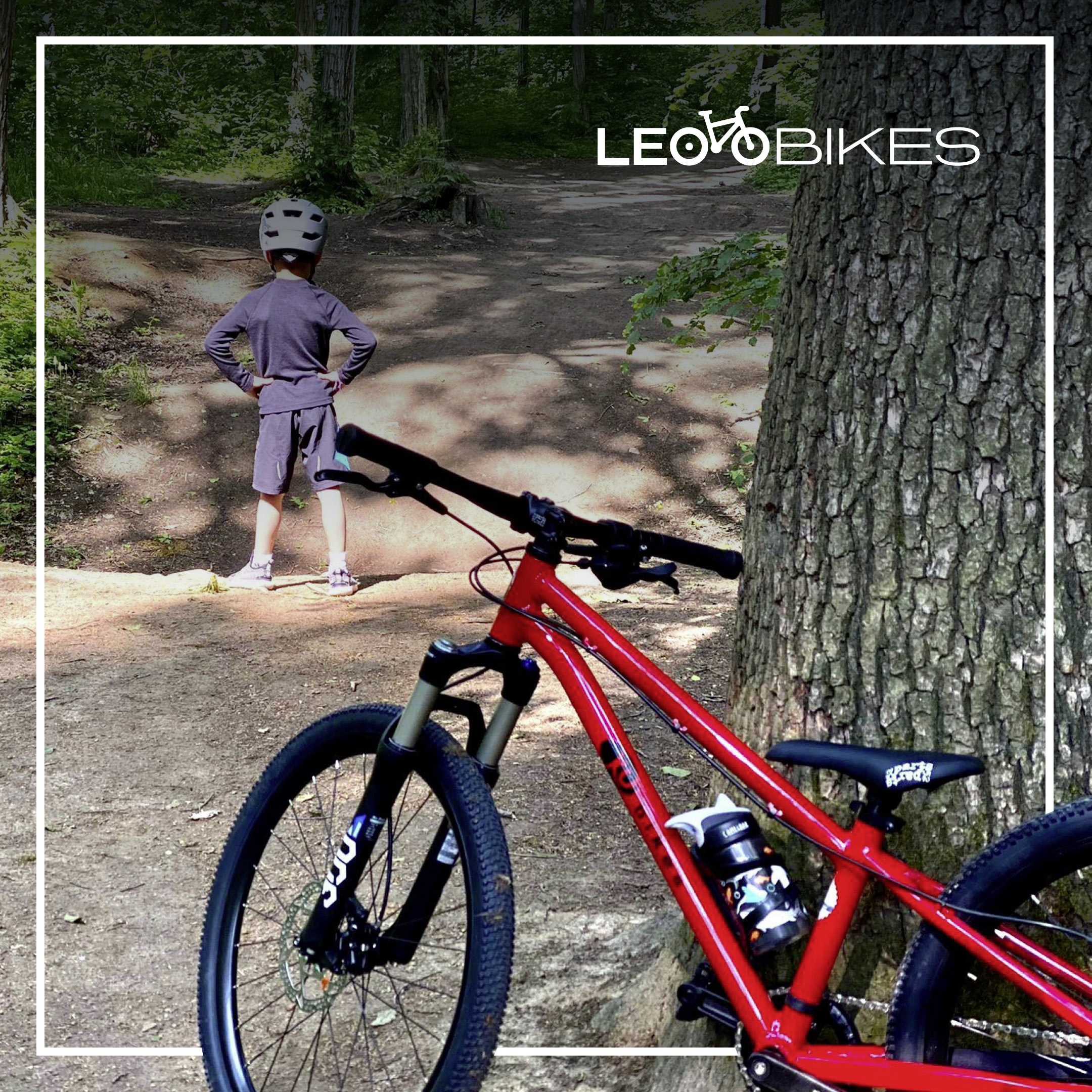 News – Leo Bikes